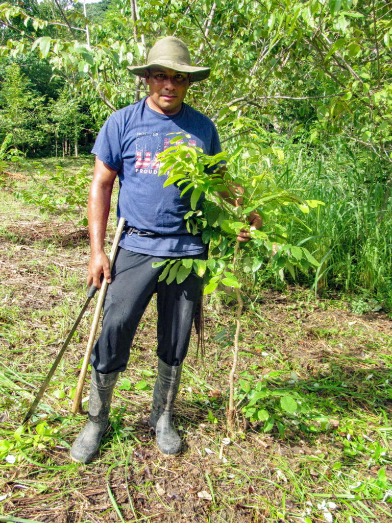 This Machete Grows Trees!